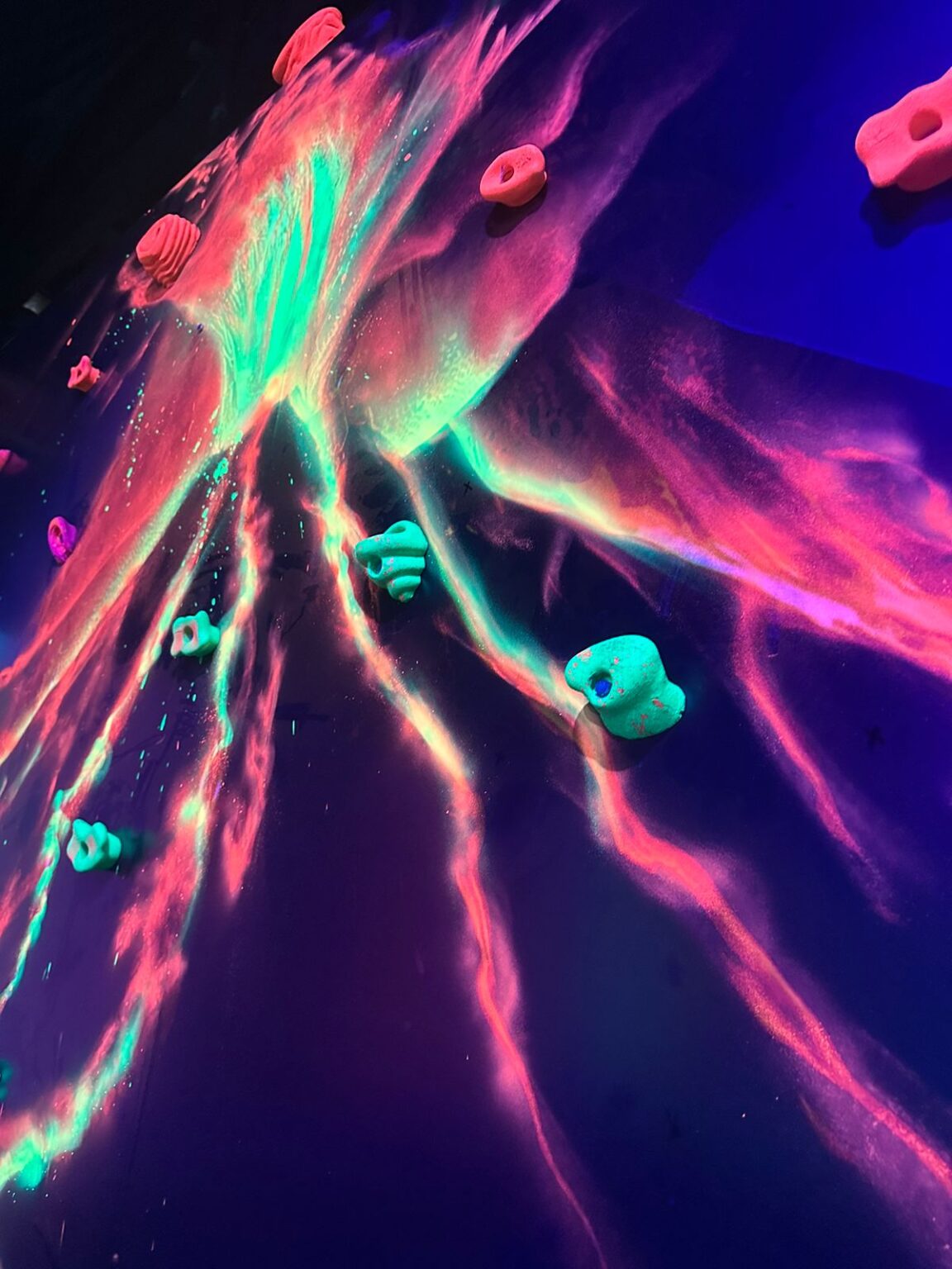 Magic Jungle Park – Nova atração Pula Pula em Chapecó – Rua Rui Barbosa ...